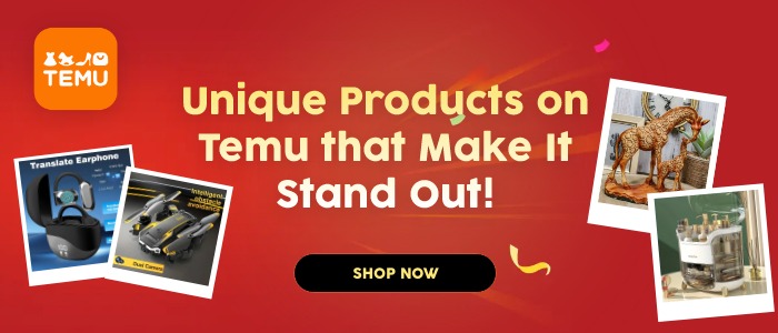Unique Products On Temu That Make It Stand Out!